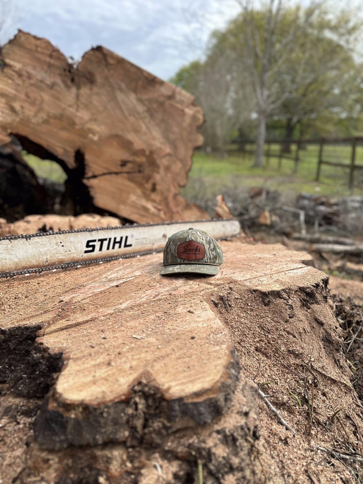 5 Benefits of Stump Grinding Services - Jack's Tree Service | Tree ...