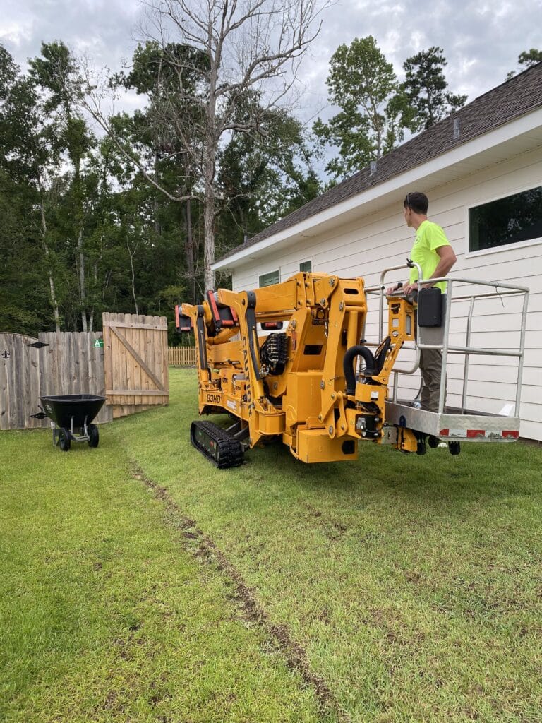 Tree Services That Maximize Curb Appeal Before Selling Your Franklinton ...