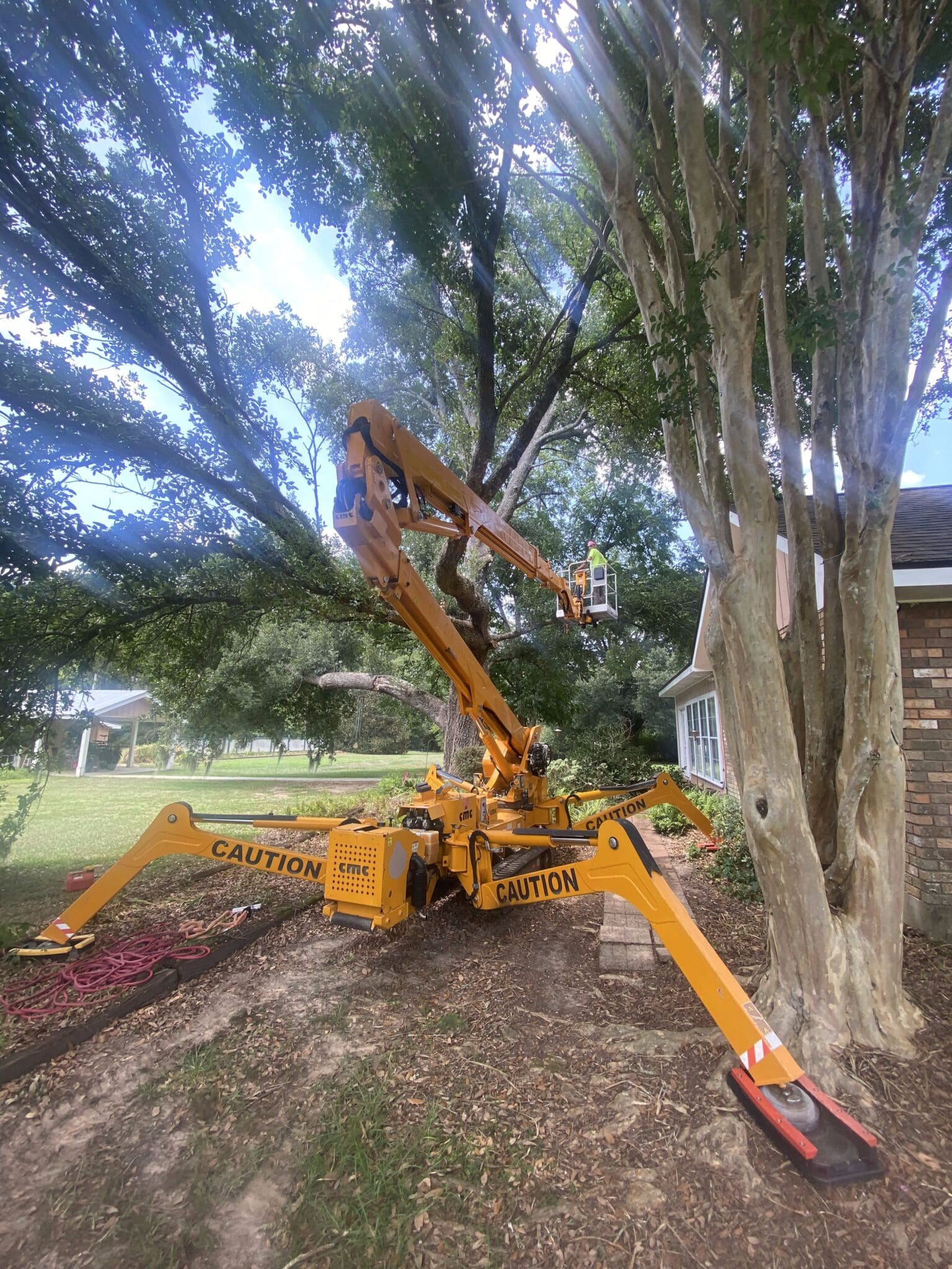 Tree Removal Costs in Louisiana - Jack's Tree Service | Tree Removal ...