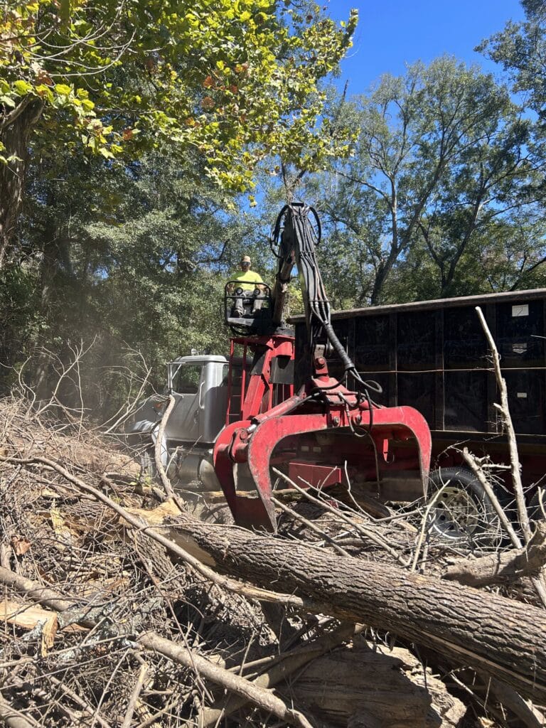 How Root Systems Can Damage Your Foundation – and When To Remove a Tree ...