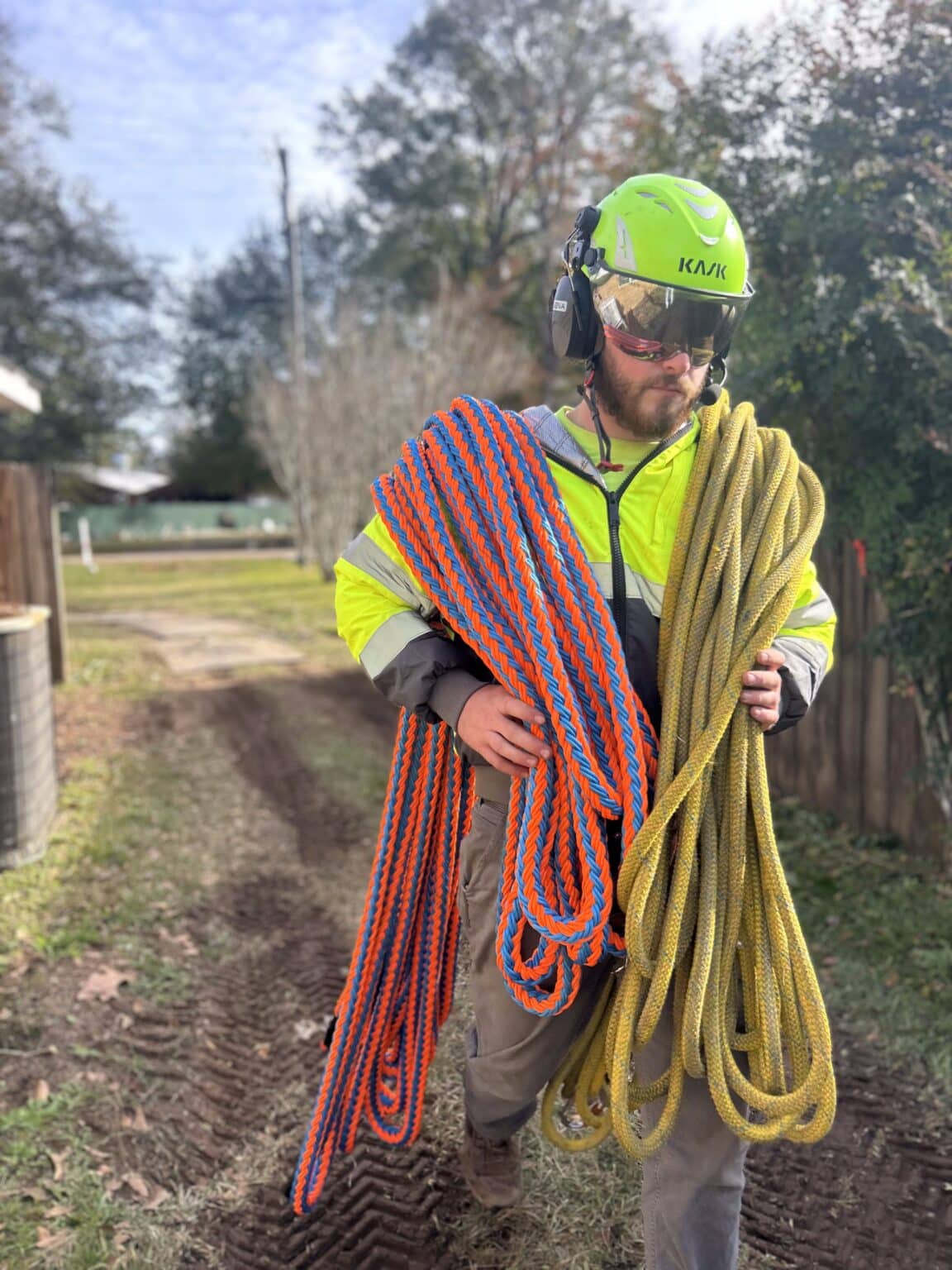 Louisiana Tree Removal Cost Calculator: How to Estimate a Reasonable ...