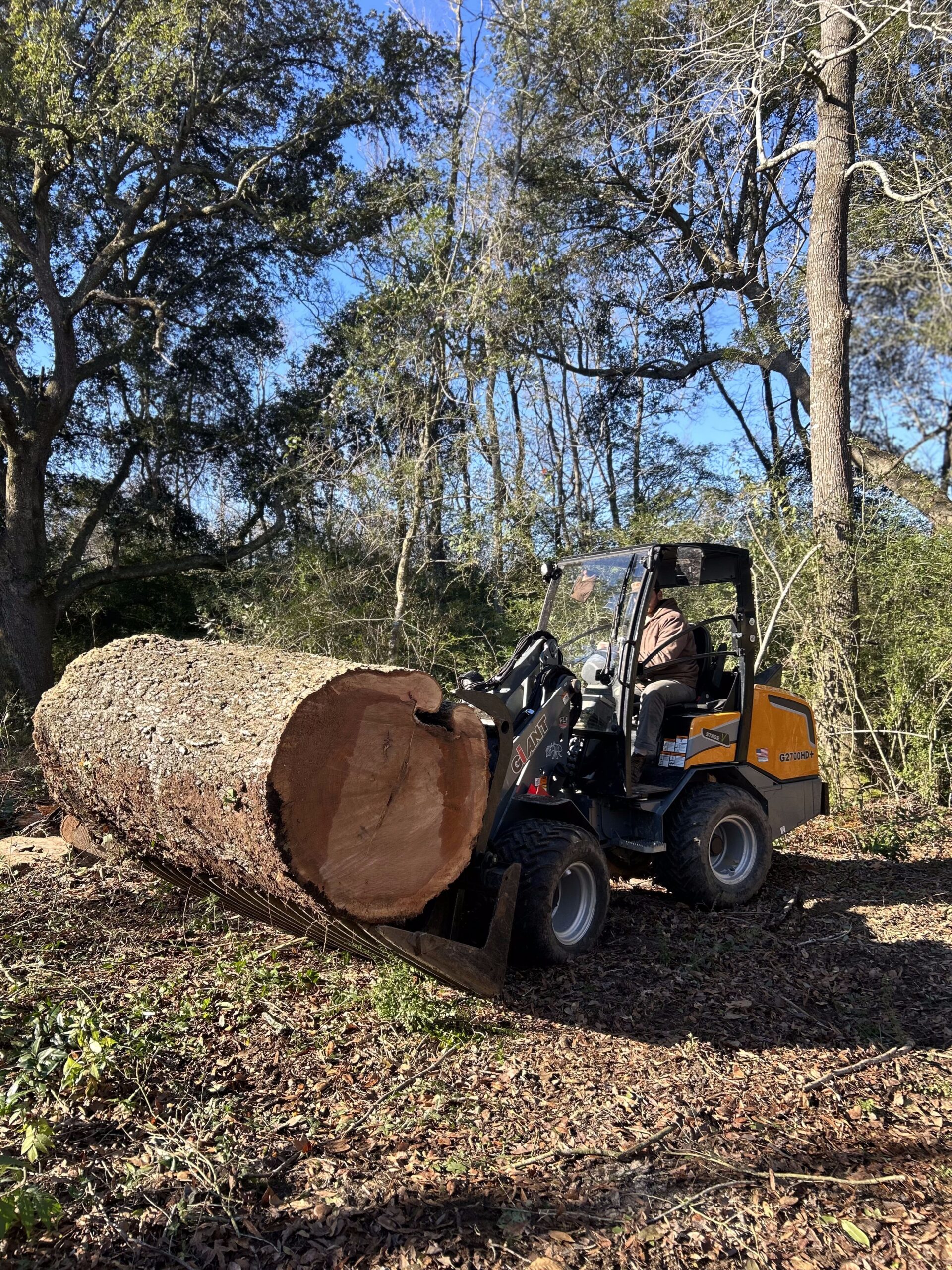 Home - Jack's Tree Service | Tree Removal and Trimming in Franklinton LA