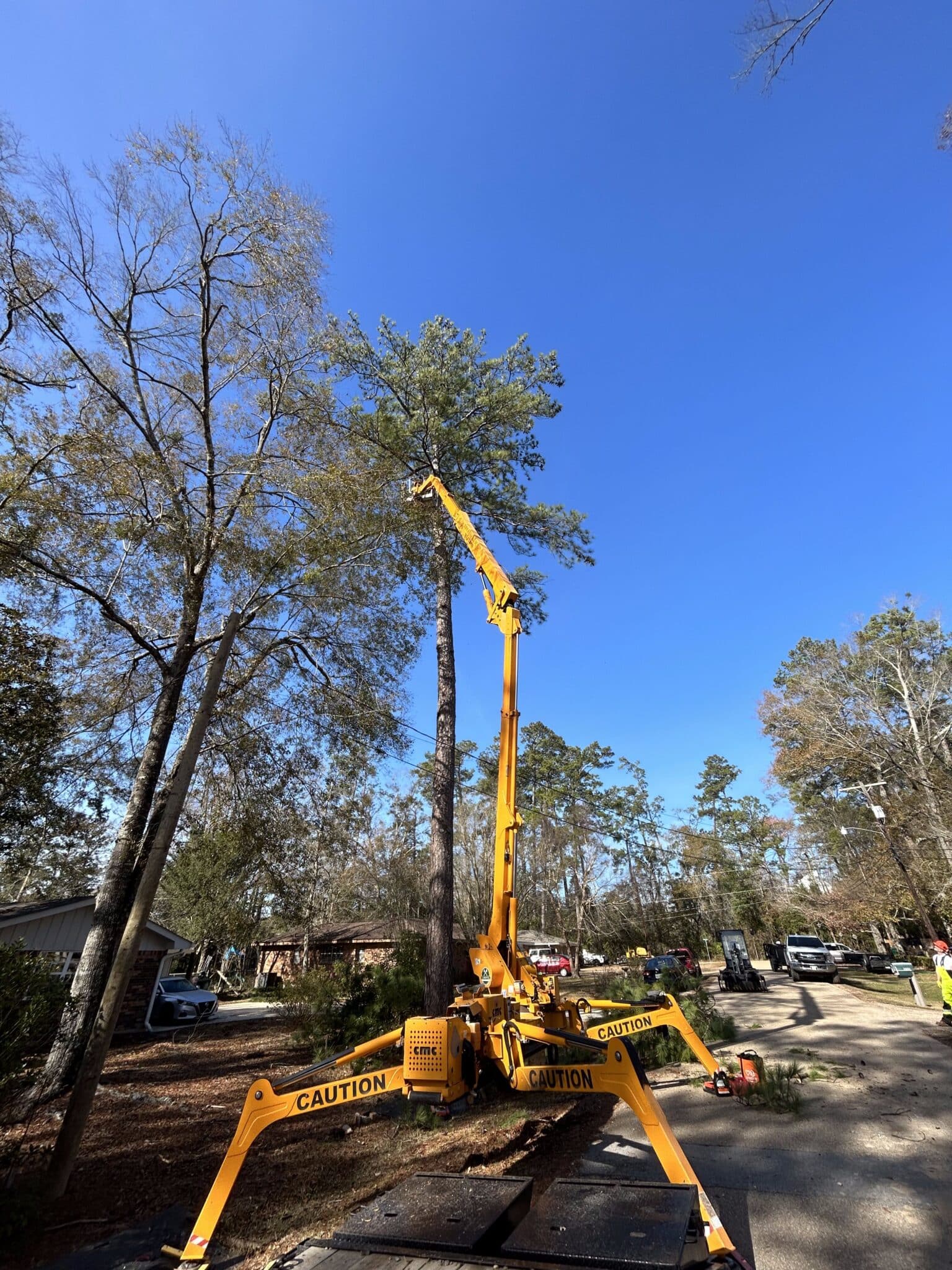 Home - Jack's Tree Service | Tree Removal and Trimming in Franklinton LA
