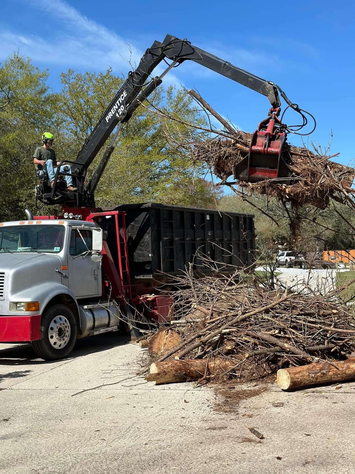 Three Ways That Tree Removal Services Can Raise Your Franklinton, LA, Property Value - Jack's ...